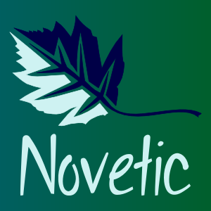 Security Cameras | Battery Powered or Solar Surveillance | Novetic